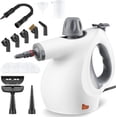 Pressurized Handheld Steam Cleaner with 14 count Accessories 15.2OZ ...