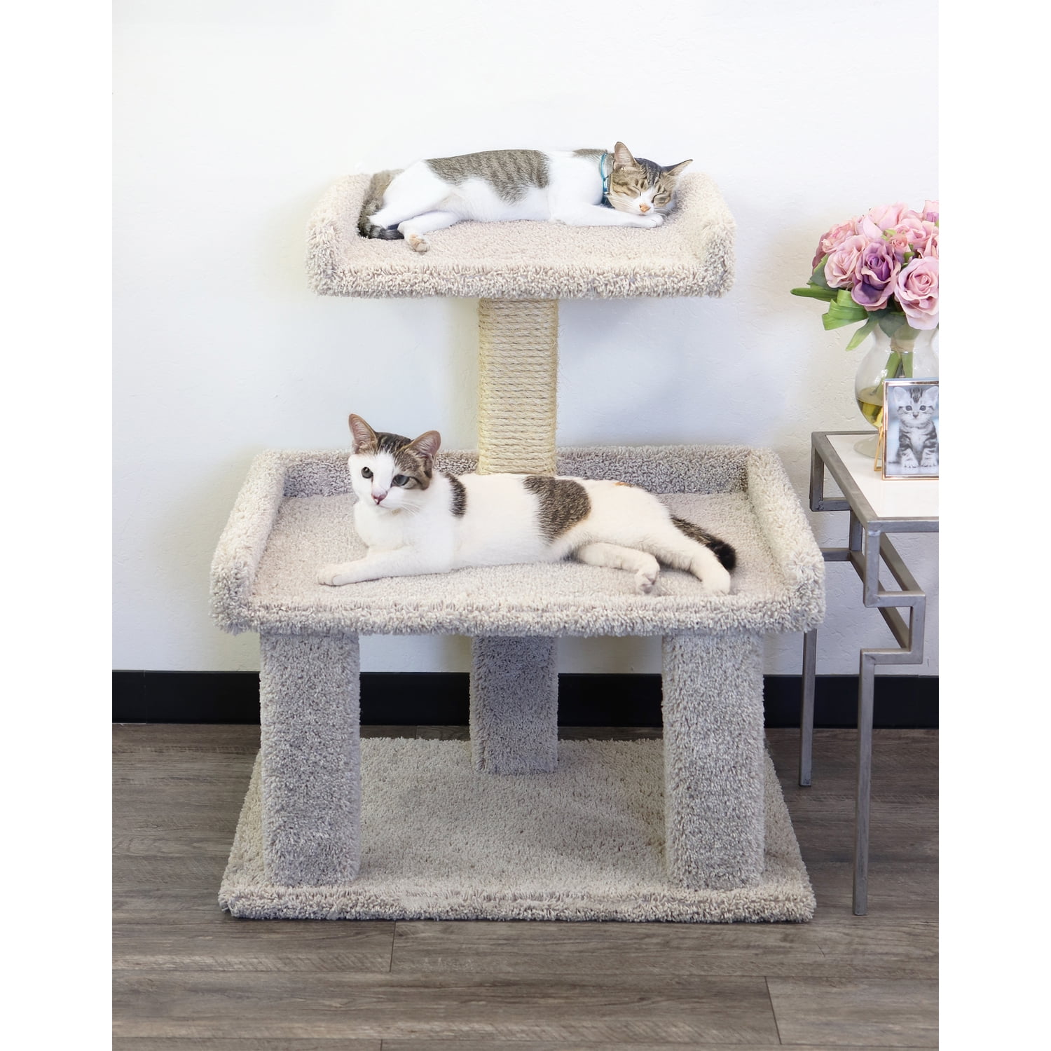 Prestige Cat Trees Maine Coon Perch? - Walmart.com
