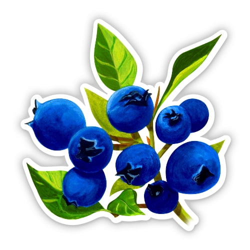 Pretty Blueberries - 5" Vinyl Sticker - For Car Laptop I-Pad ...