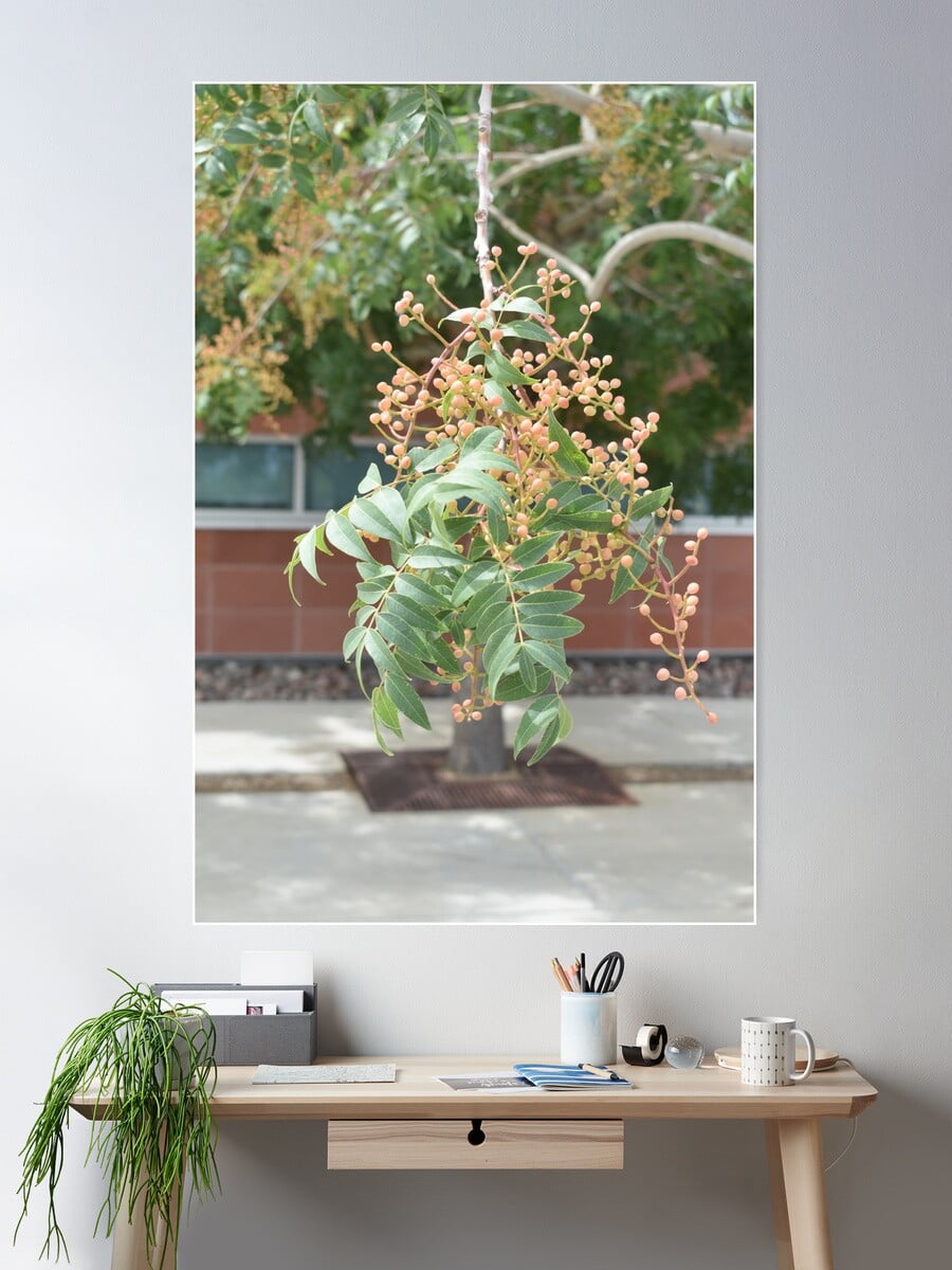 Pretty Dangling Tree Branch Poster Wall Art, Modern Wall Decor For ...