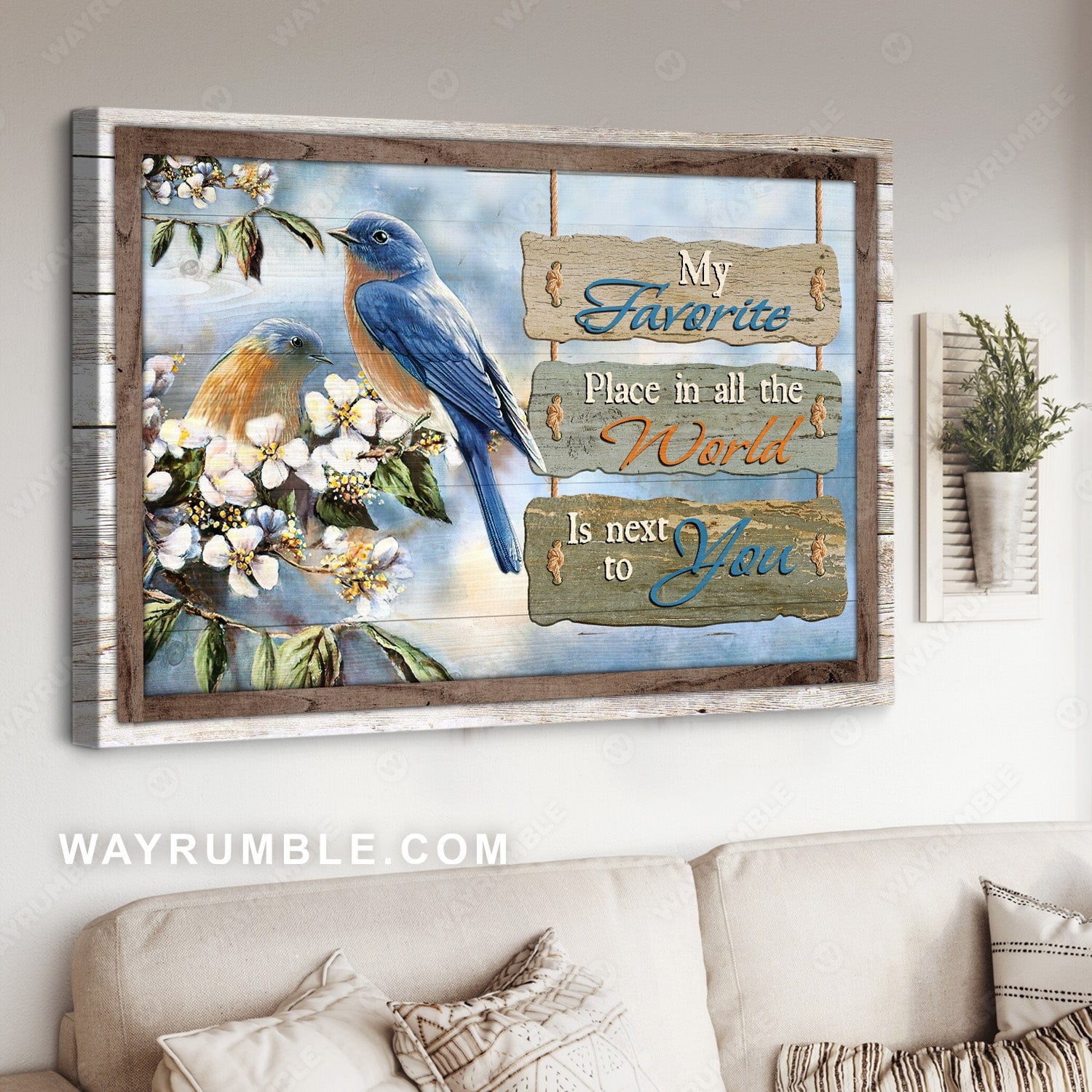 Pretty Eastern Bluebird, Jasmine Forest, My Favorite Place In All The ...