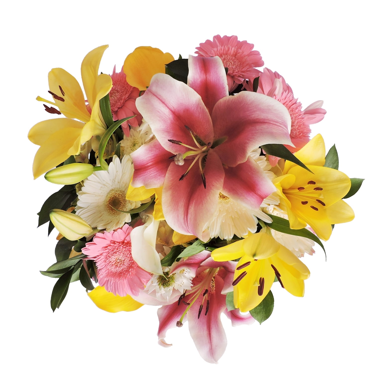 Pretty Little Lillies Bouquet - Farm Direct Fresh Cut Flowers - 4 Pack ...