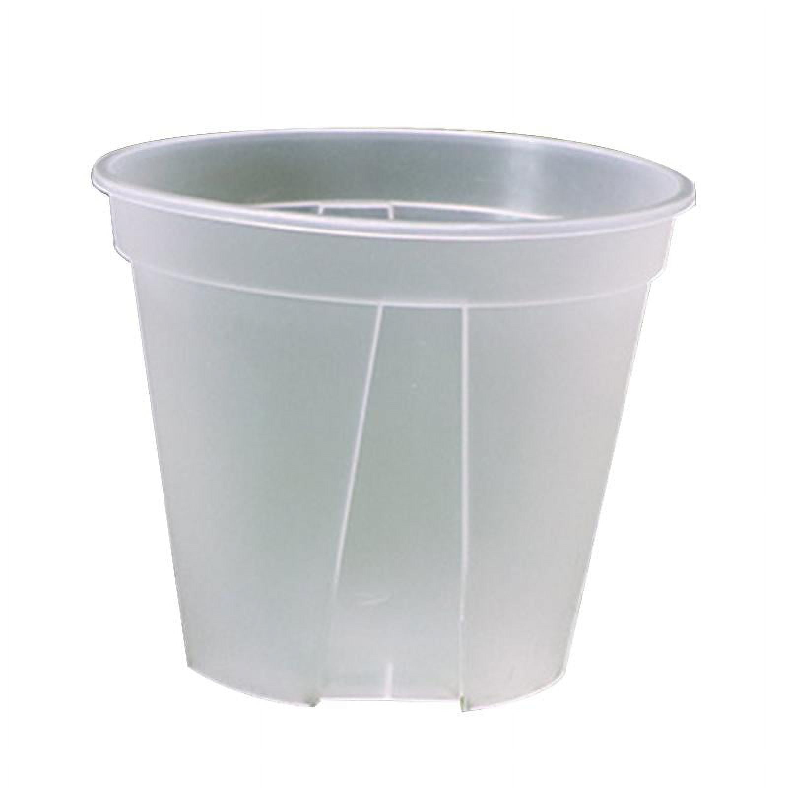 Pretty Transparent Plant Pot for African Violets, Orchid, Flower Pot ...