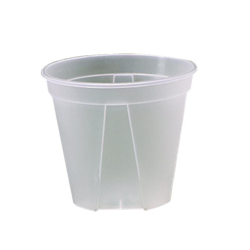 Pretty Transparent Plant Pot for African Violets, Orchid, Flower Pot ...