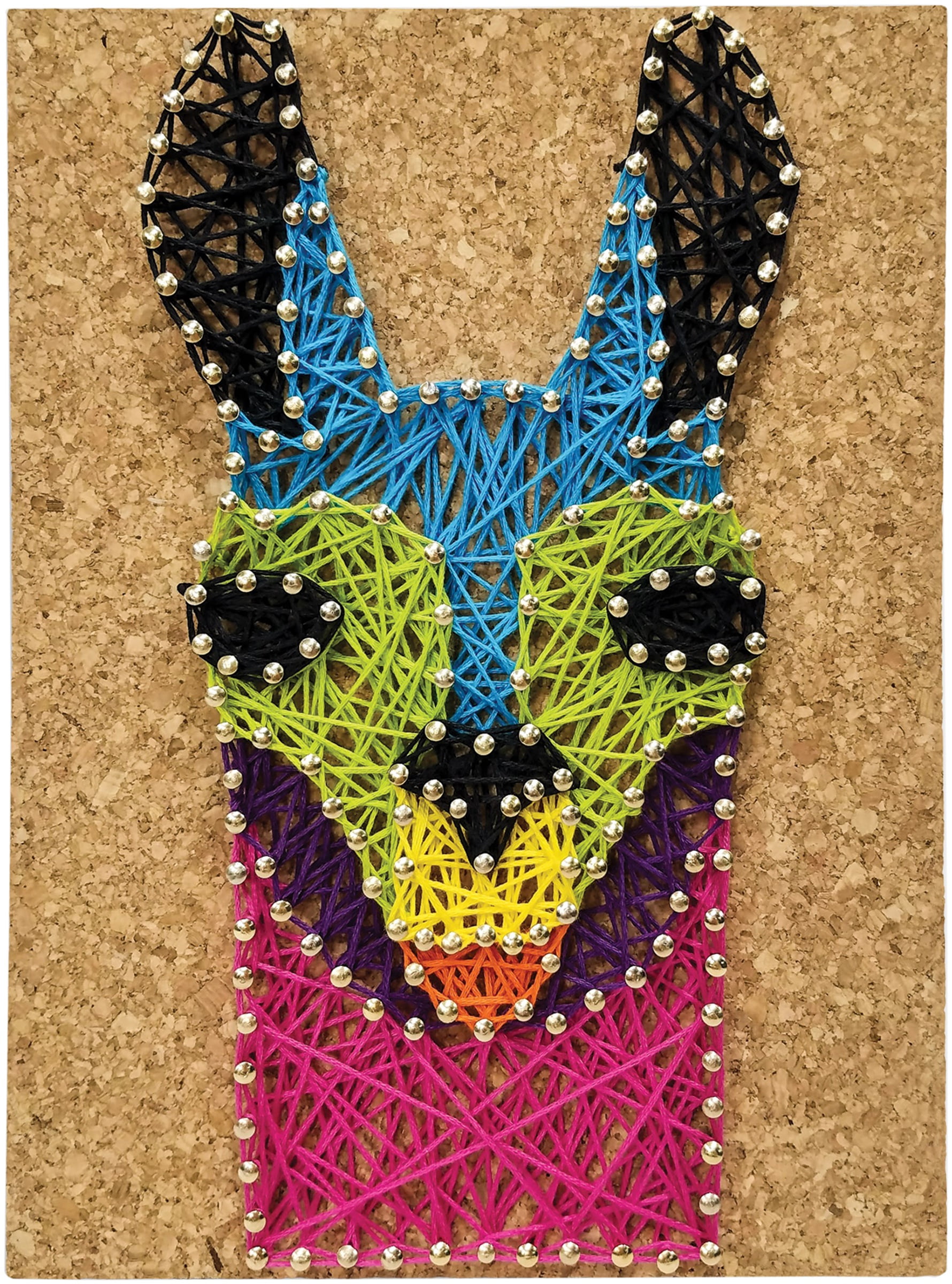 Pretty Twisted String Art DIY Kit-No Drama Llama - Walmart.com