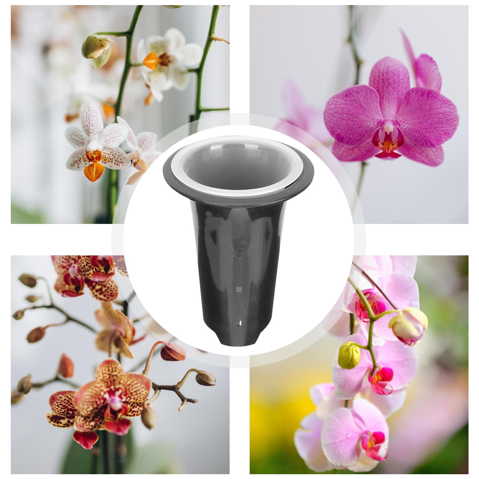 Pretyzoom Tall Orchid Planter Assorted Color 2Sets 4Inch Pot Plus 5Inch ...