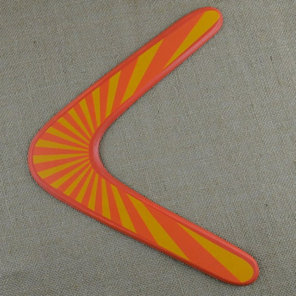 Boomerang Toy