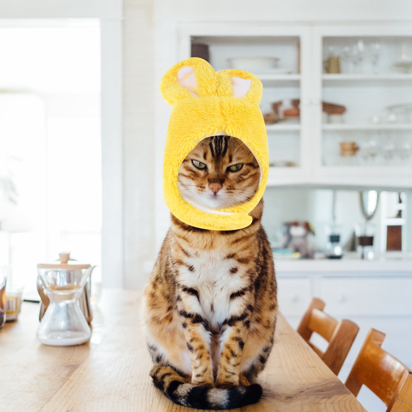 Pretyzoom 2Set Warmth Cat Hats Assorted Color for Pet Owners - Walmart.com