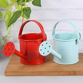 Plant Watering Bucket