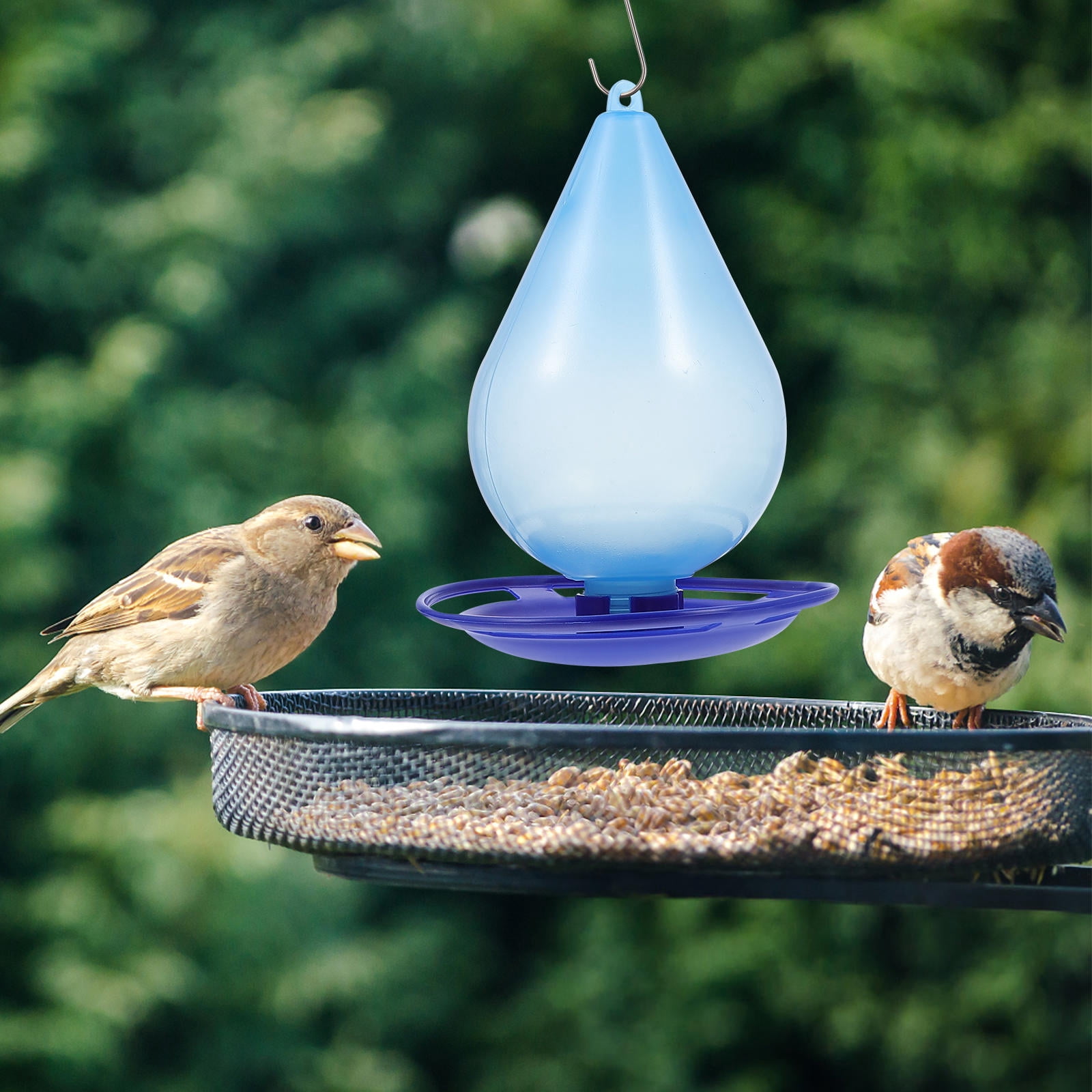 Pretyzoom Bird Food Container Hummingbird Feeders for Outdoors Plastic ...