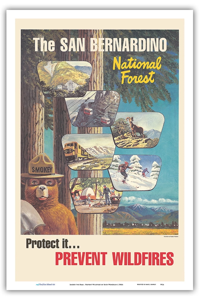 Prevent Wildfires - San Bernardino National Forest - Vintage Travel ...