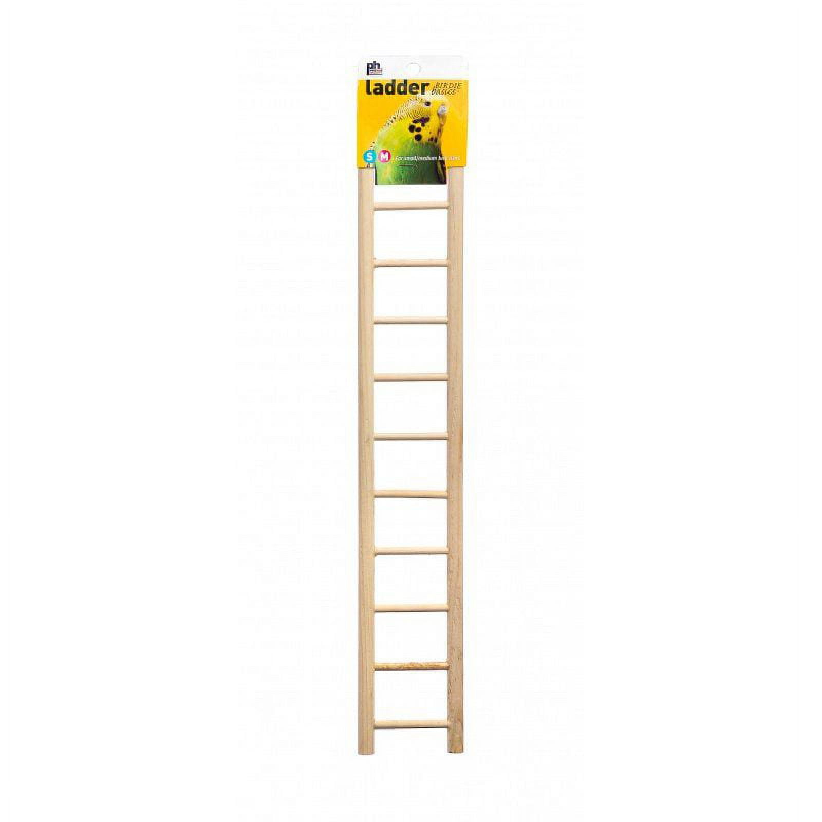 Prevue Birdie Basics Ladder [Bird, Ladders Wood] 11 Rung Ladder ...