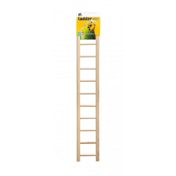 Bird Ladder