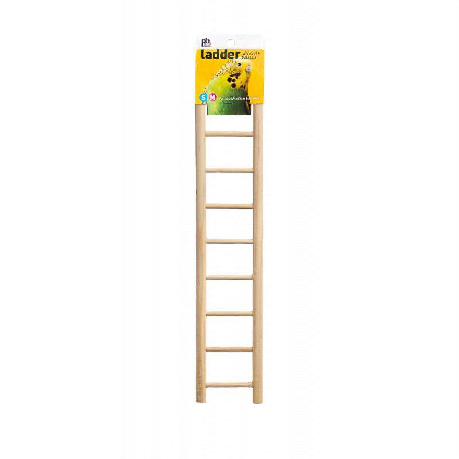Prevue Birdie Basics Ladder [Bird, Ladders Wood] 9 Rung Ladder ...