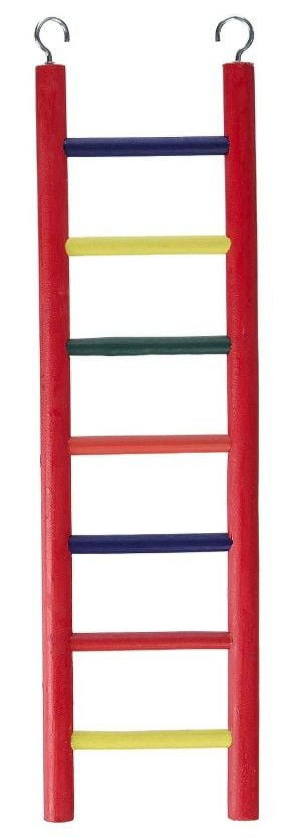 Prevue Carpenter Creations Hardwood Bird Ladder Assorted Colors [Bird ...
