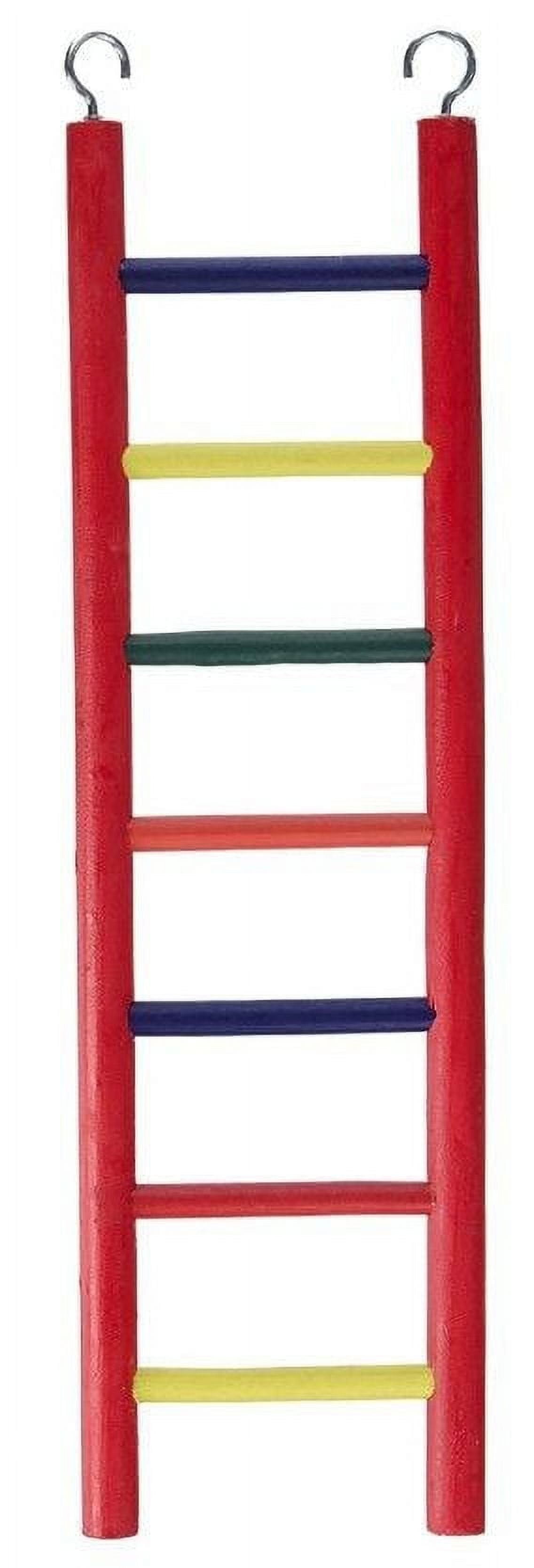 Prevue Carpenter Creations Hardwood Bird Ladder Assorted Colors [Bird ...