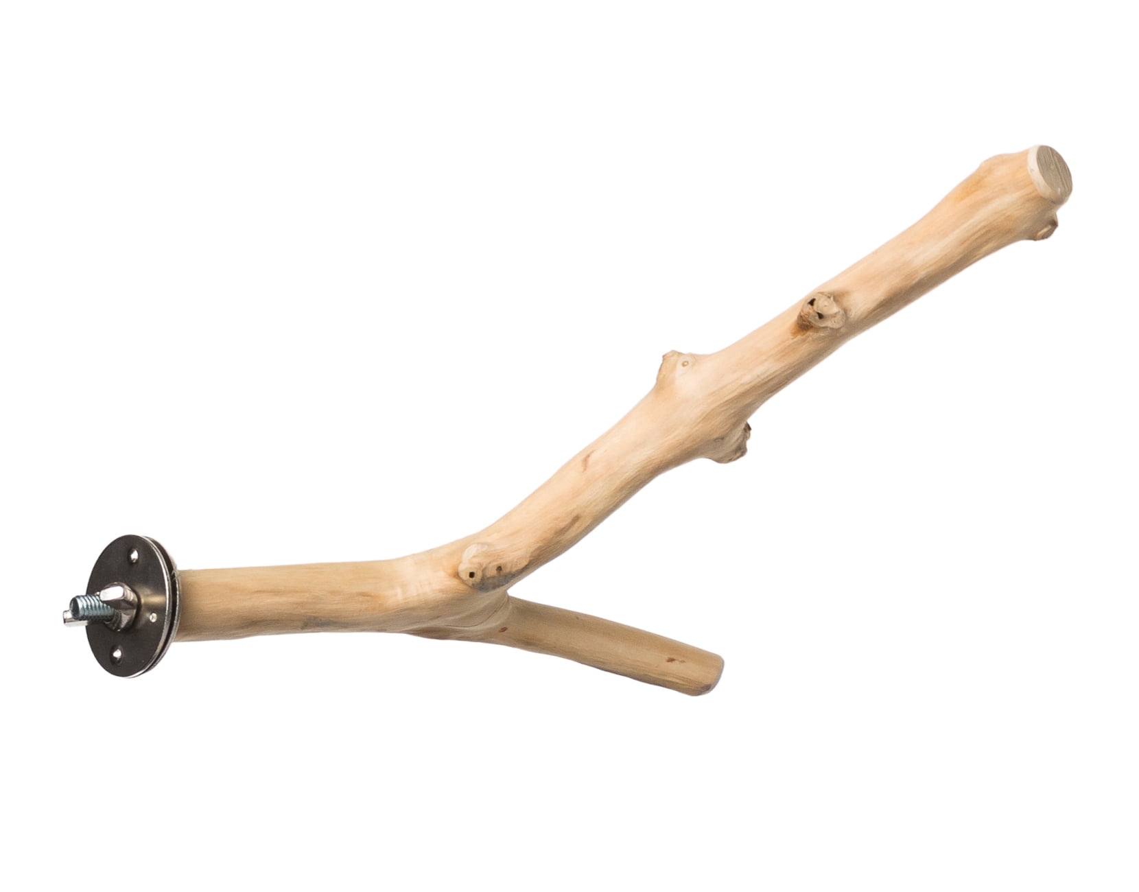 9" Y-Branch Coffea Wood Bird Perch - Walmart.com