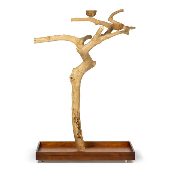 Prevue Pet Parrot Playstand, Large Coffeawood Java Tree Floor Stand ...