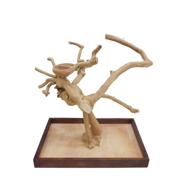 Prevue Pet Products Coffeawood Java Tree Minis Medium Table Top ...