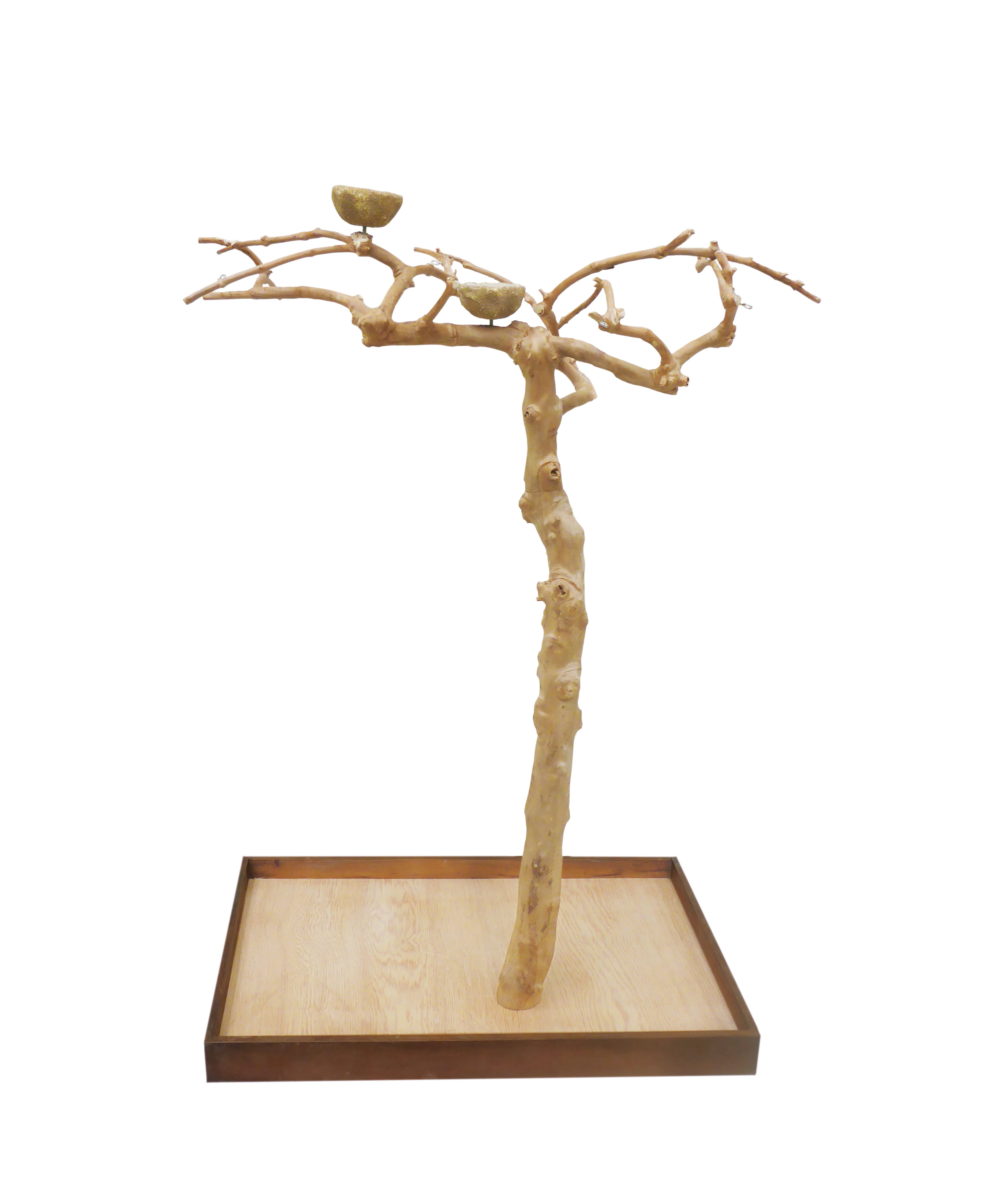 Prevue Pet Products Coffeawood Java Tree Small Floor Playstand Style #2 ...