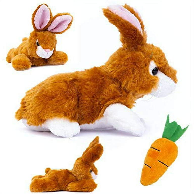 Brown Baby Bunny Rabbit