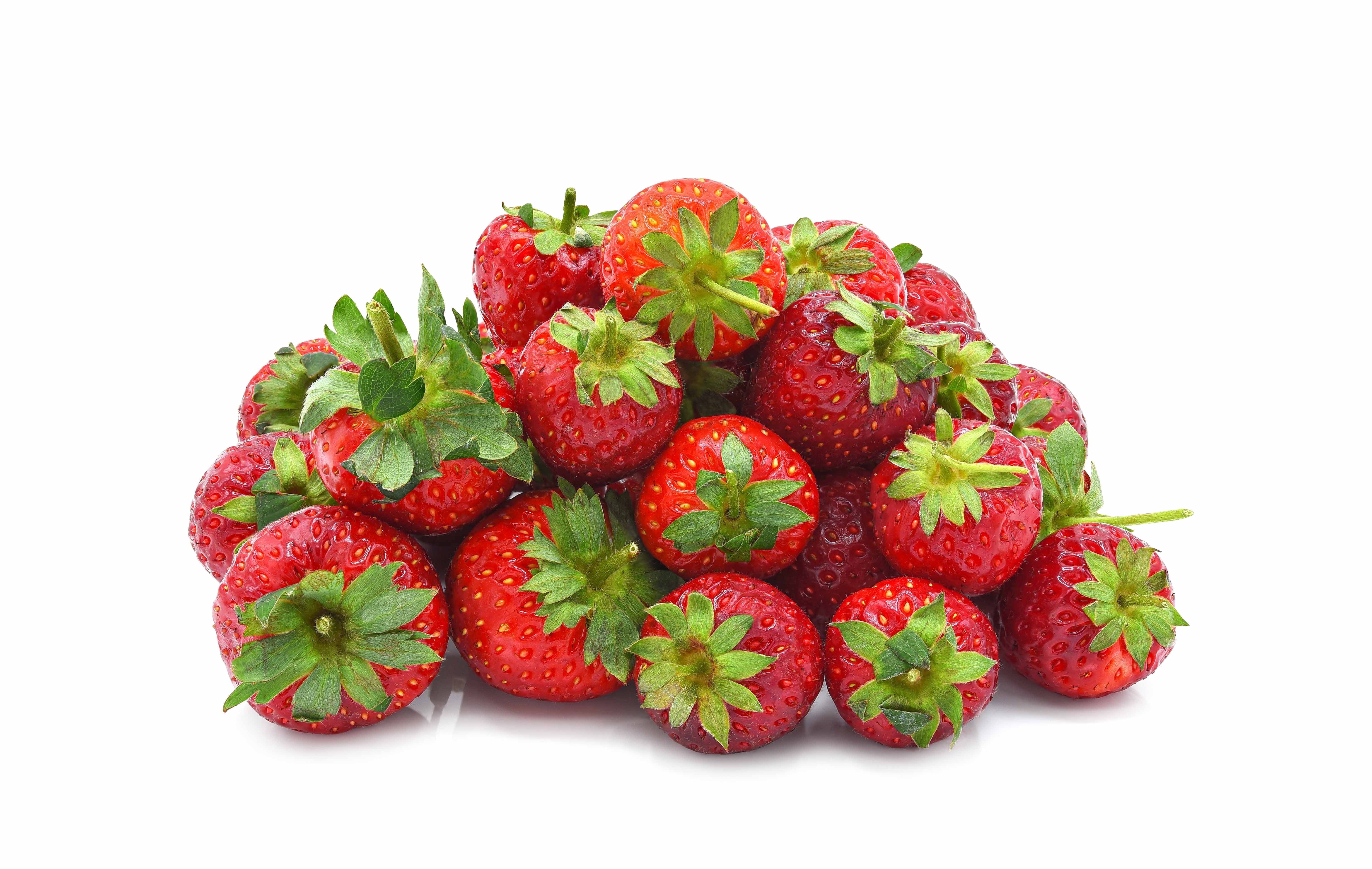 Seascape Everbearing Strawberry Plants, 25pk Live Garden Center Fruit ...