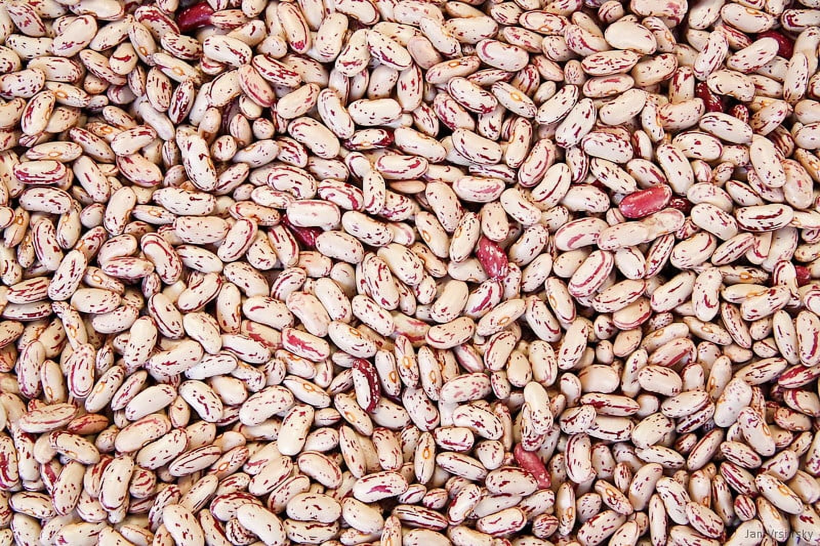 (Price/Pack)Commodity Triple Clean Pinto Beans 20 Pounds Per Pack - 1 ...