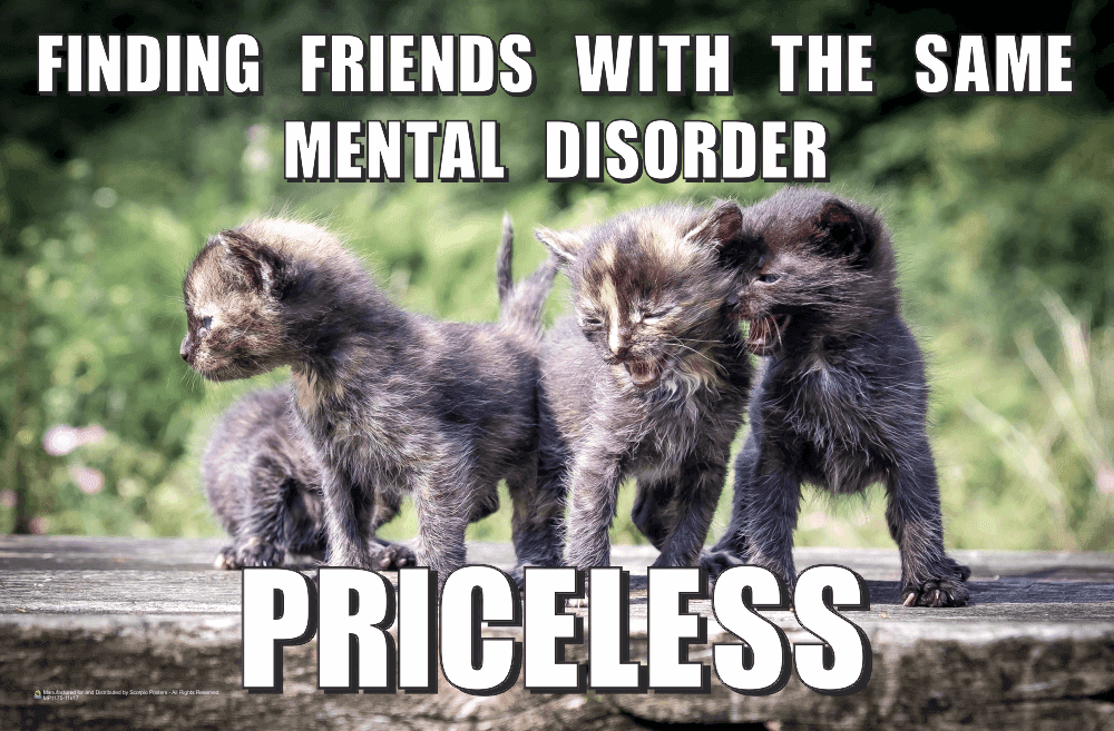 Priceless - Friends With The Same Mental Disorder Mini Poster - 17x11 ...