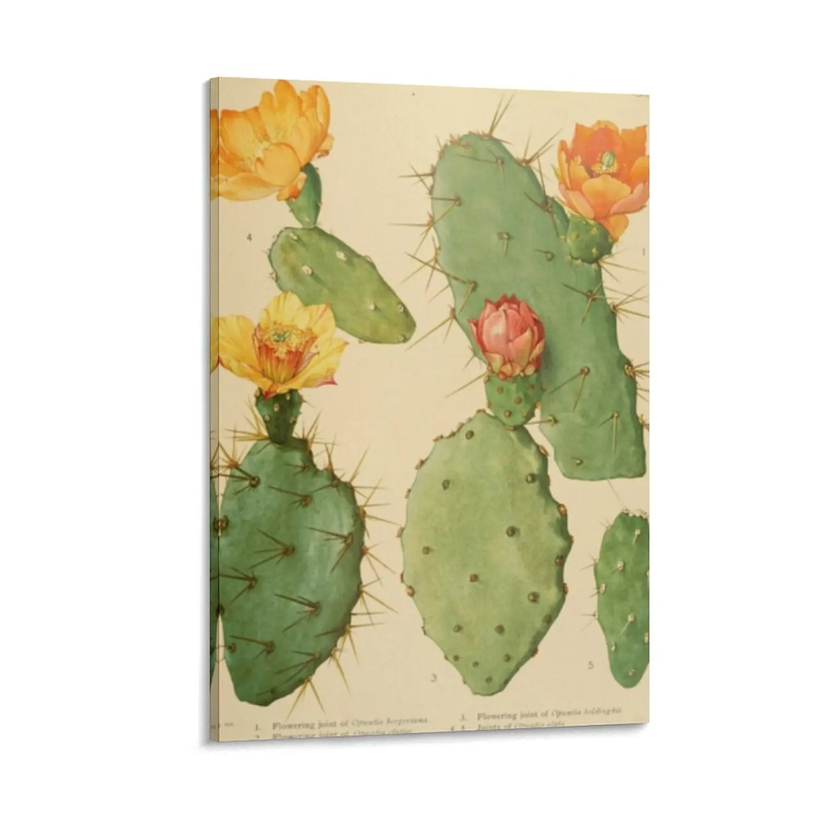 Prickly Pear Cactus Canvas Painting decorative wall canvases anime ...