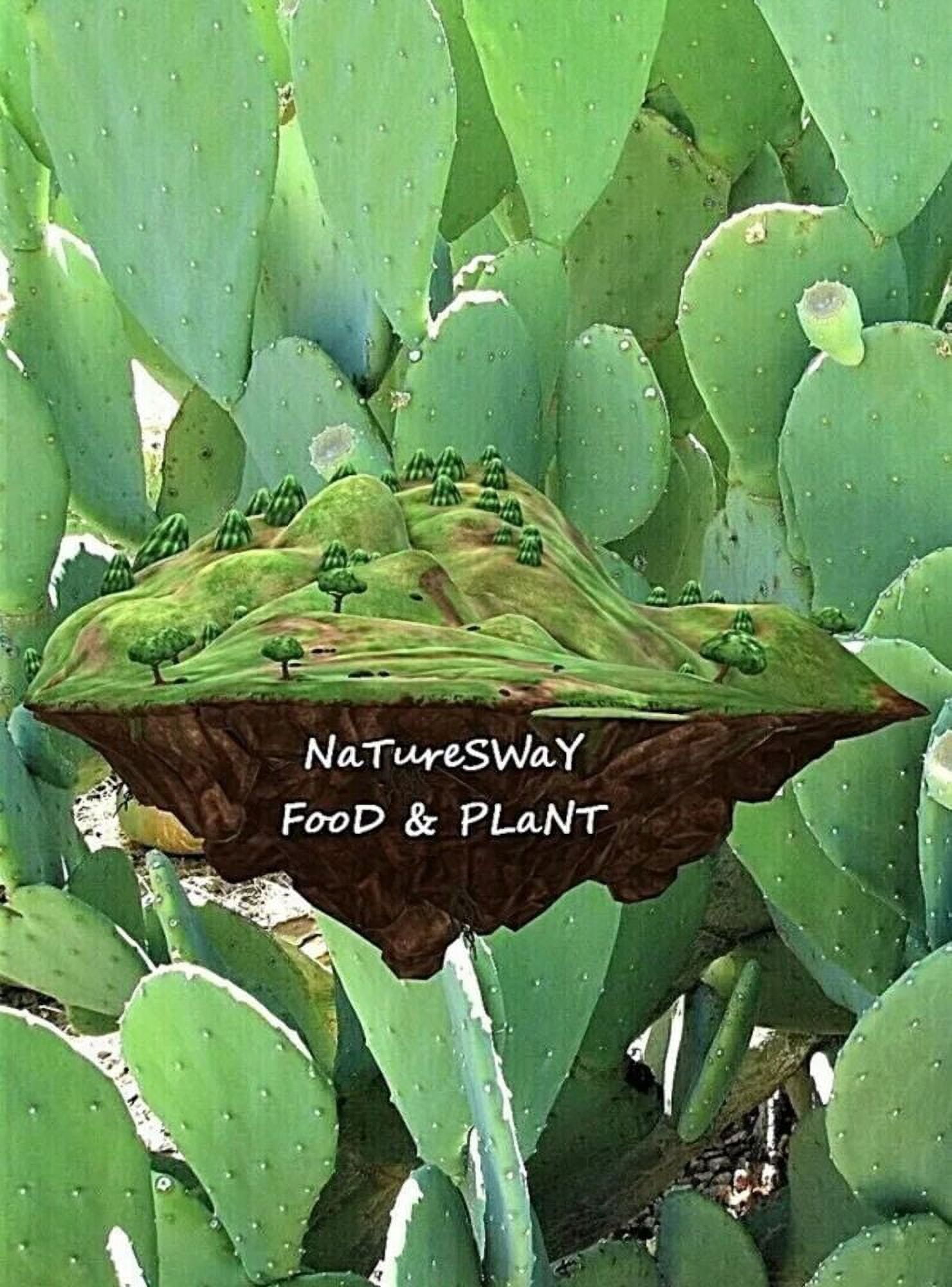 Prickly Pear Organic Spineless Cactus Pads, Beauty Regimen Reptile ...