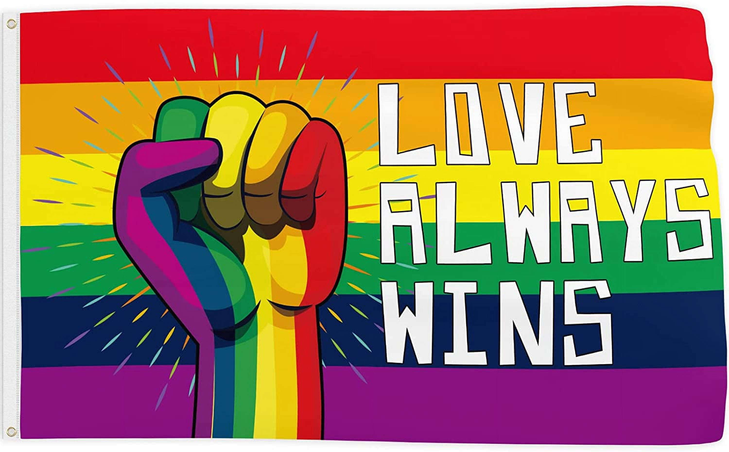 Pride Flag Rainbow Decorations Double Printed Backdrop Love Always Wins ...