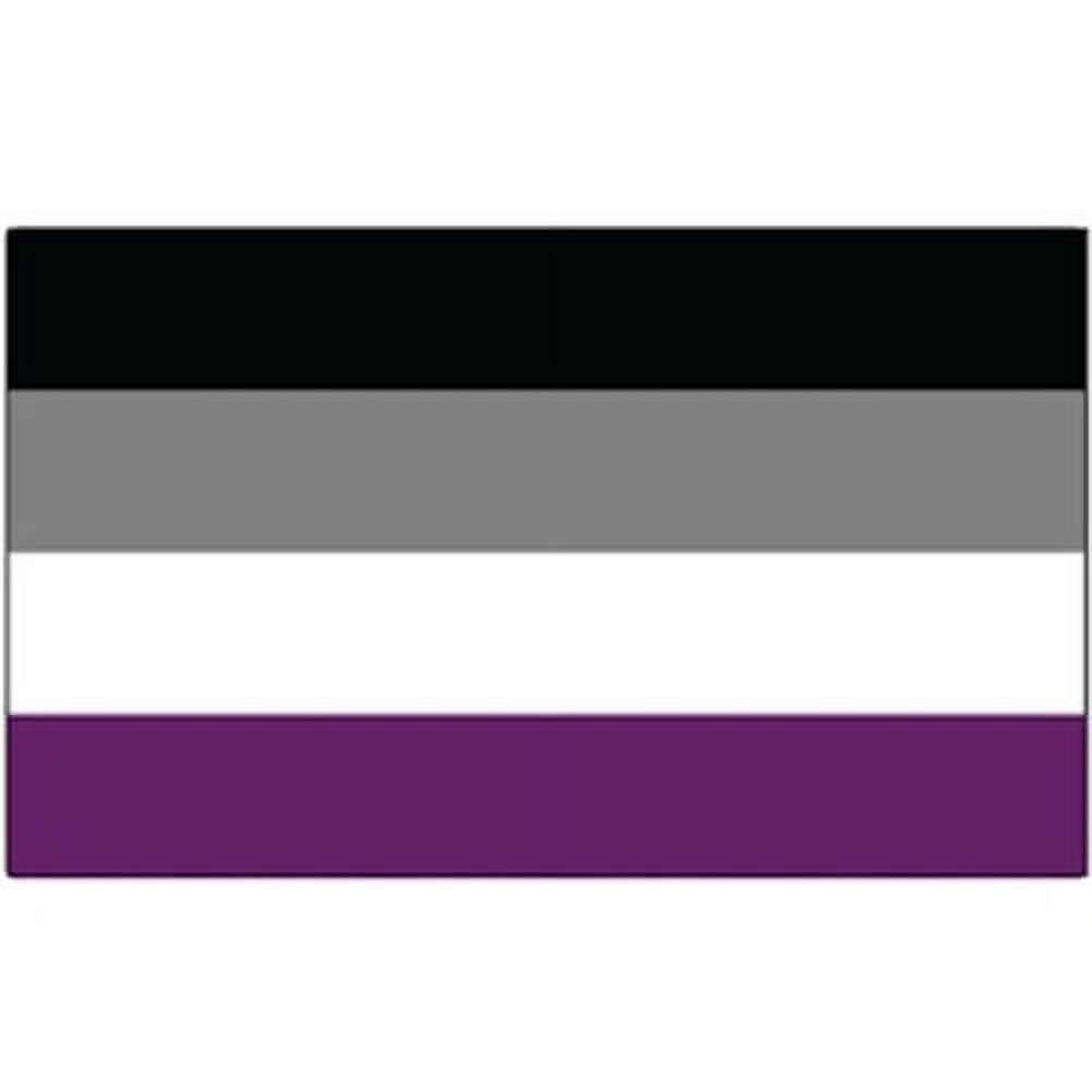 Pride Shack - Asexual Flag Pride - Rectangle Car Bumper Sticker (3x5 ...