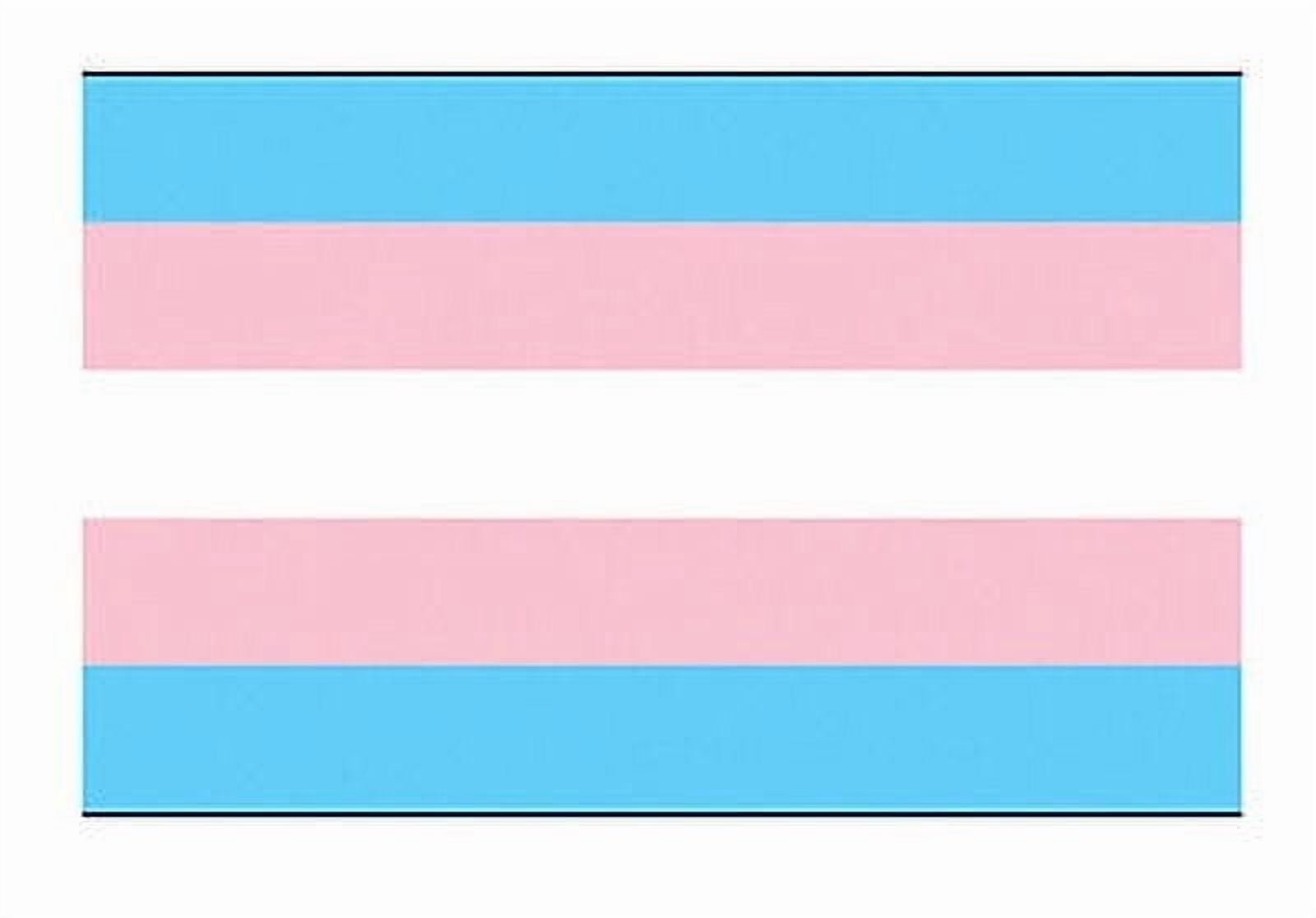 Pride Shack - LGBT Transgender Pride Flag Bumper Sticker Decal - Square ...
