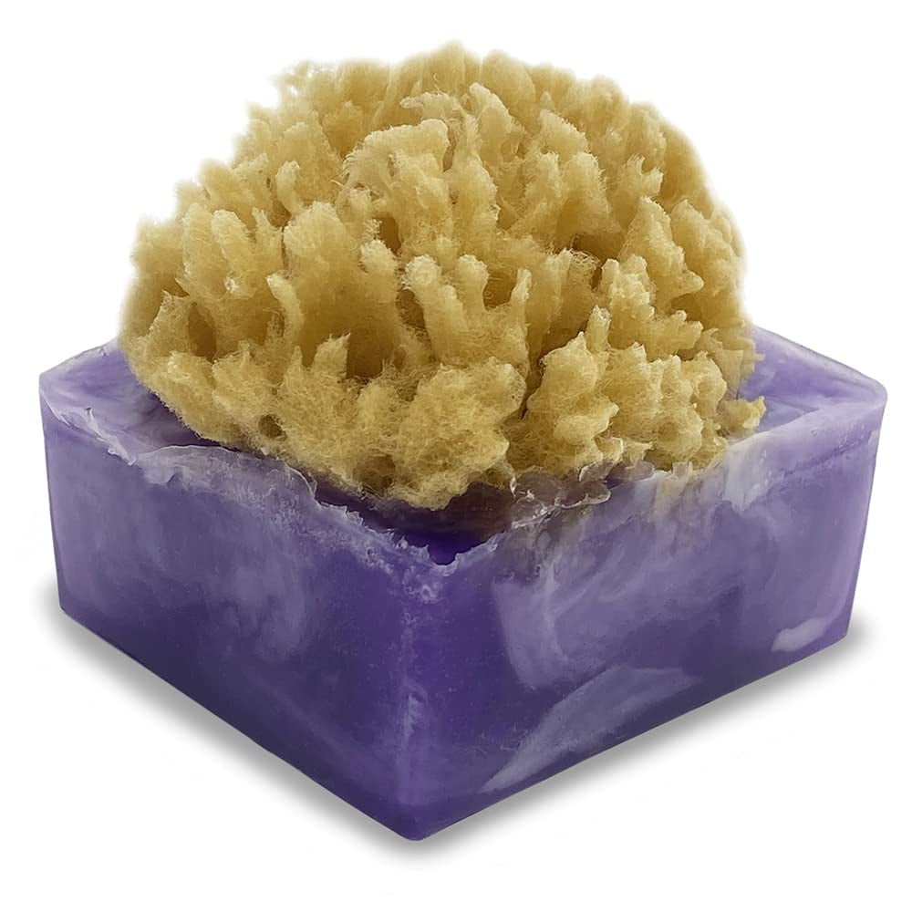 Primal Elements Lavender Blueberry SpongeBar Soap (Pack of 2) C6 ...