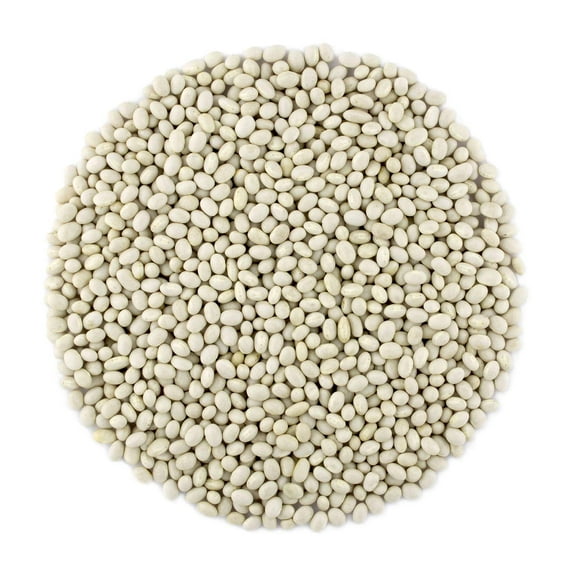 Bulk Beans Dried 50 Lbs