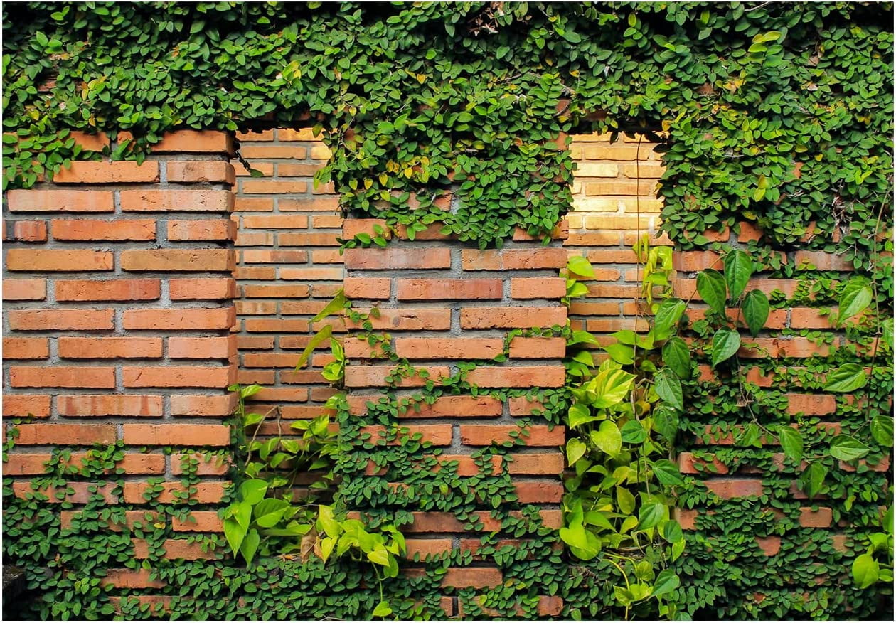 Primary Color Green Leaf Brick Wall Photography Background Green ...