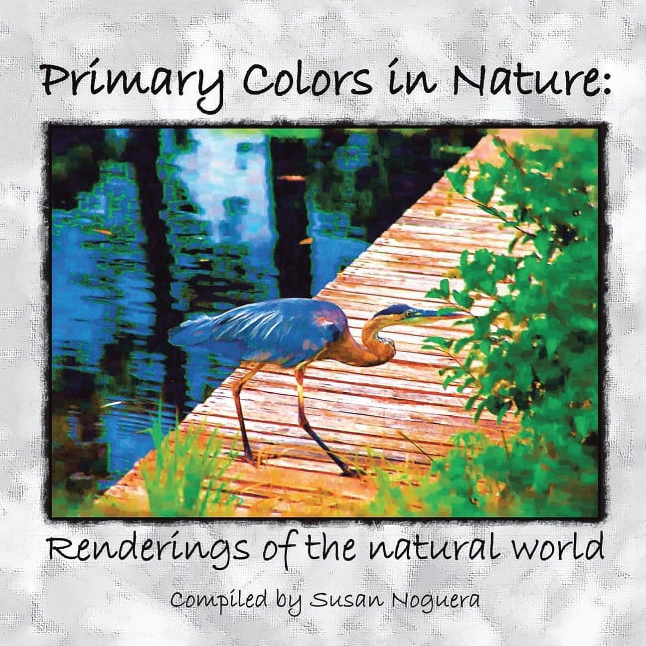 Primary Colors in Nature : Renderings of the Natural World - Walmart.com