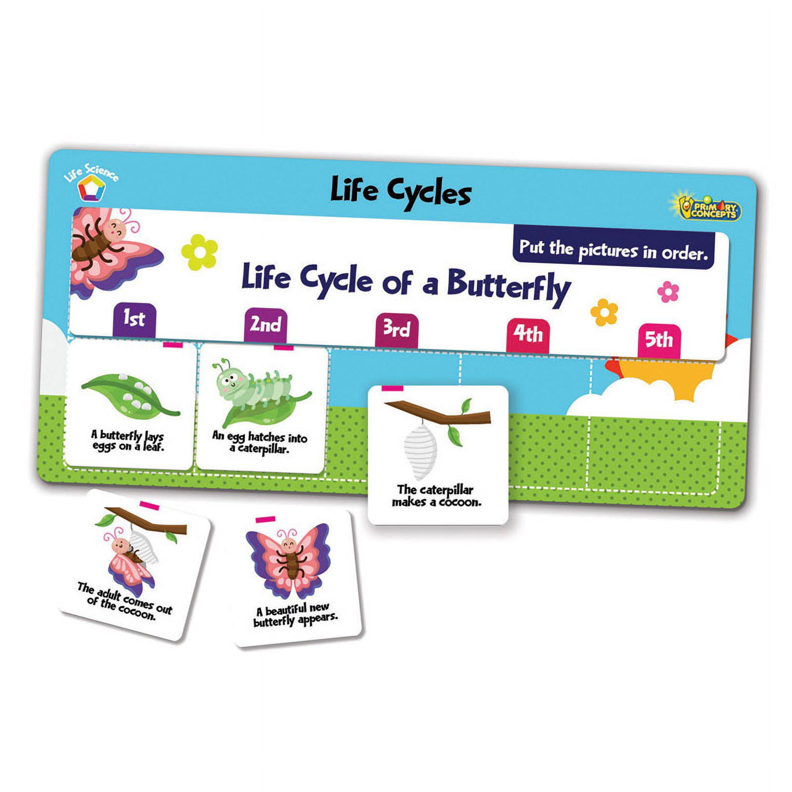 (Price/EA)Primary Concepts PC-4302 Flipchex Science Life Science Life ...