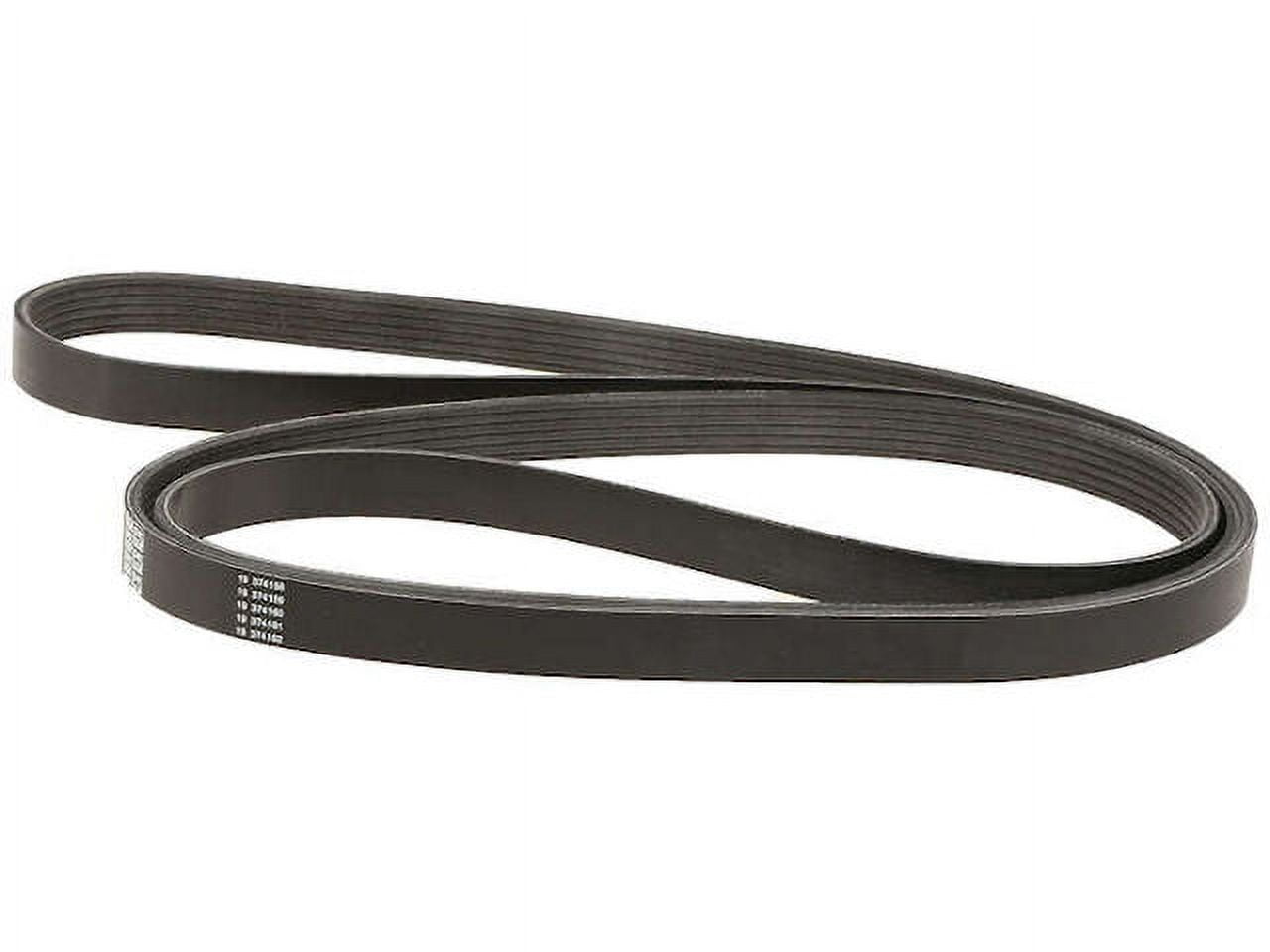 Primary Multi Rib Belt - Compatible with 1998 - 2003 Mercedes-Benz E320 ...