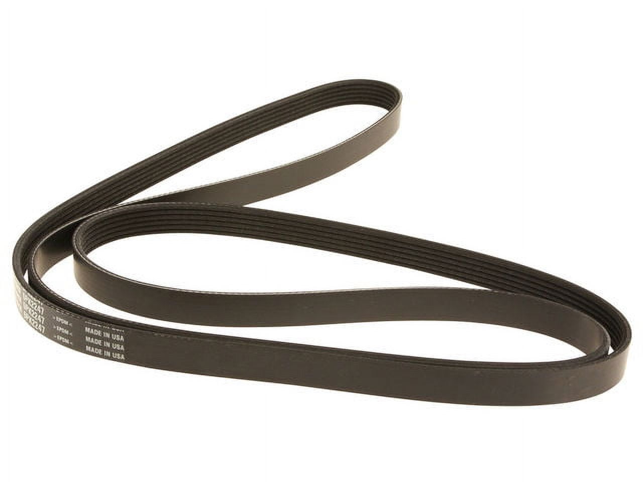 Primary Multi Rib Belt - Compatible with 2002 - 2006 Nissan Altima 2.5L ...