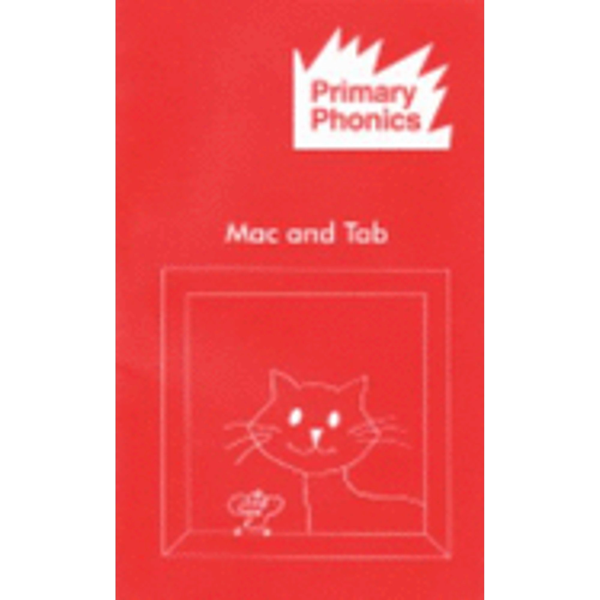 Pre-Owned Primary Phonics Set 1 Paperback - Walmart.com