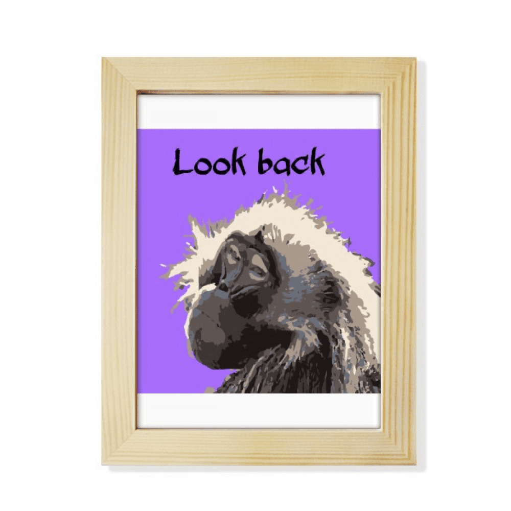 Primate Baboon Papio Desktop Adorn Photo Frame Display Art Painting ...
