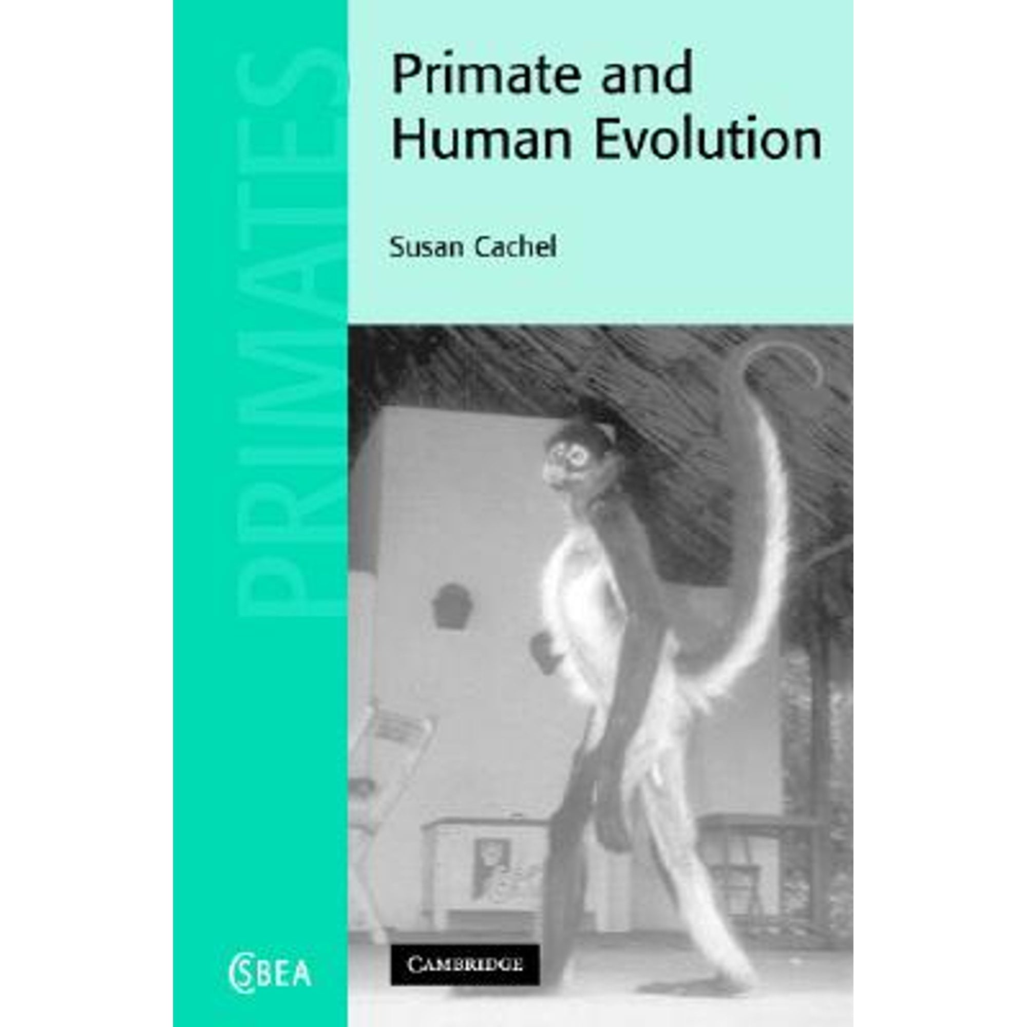 Pre-Owned Primate and Human Evolution (Hardcover 9780521829427) by ...