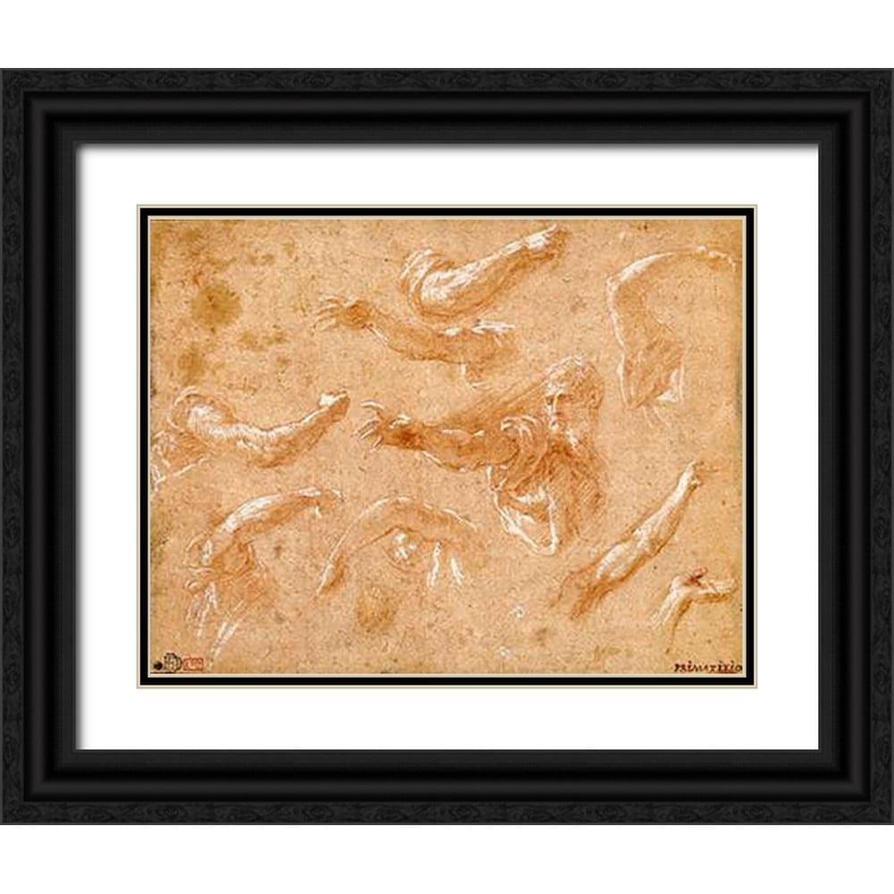 Primaticcio, Francesco 24x19 Black Ornate Wood Framed with Double ...