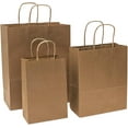 Prime Line Packaging Brown Paper Bags with Handles, Gift Bags Assorted ...