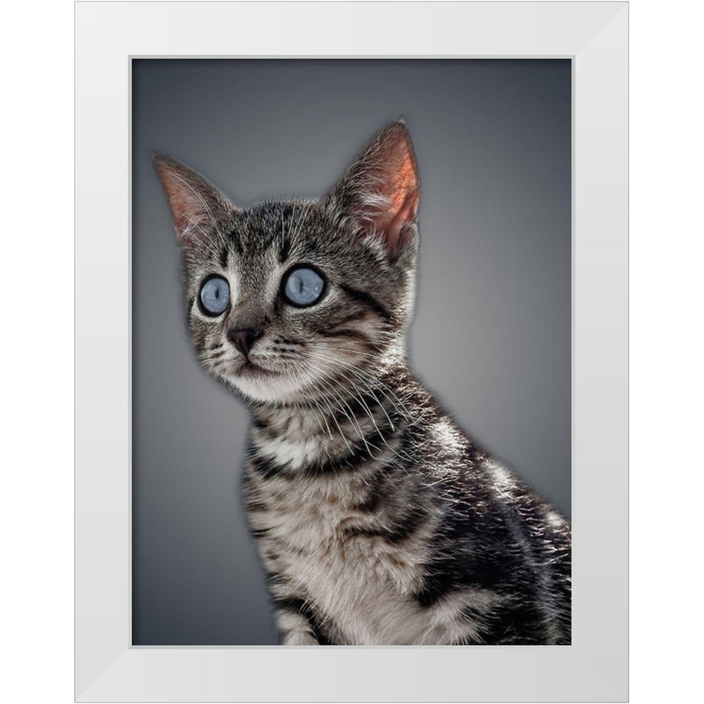 Prime, Marcus 12x14 White Modern Wood Framed Museum Art Print Titled ...