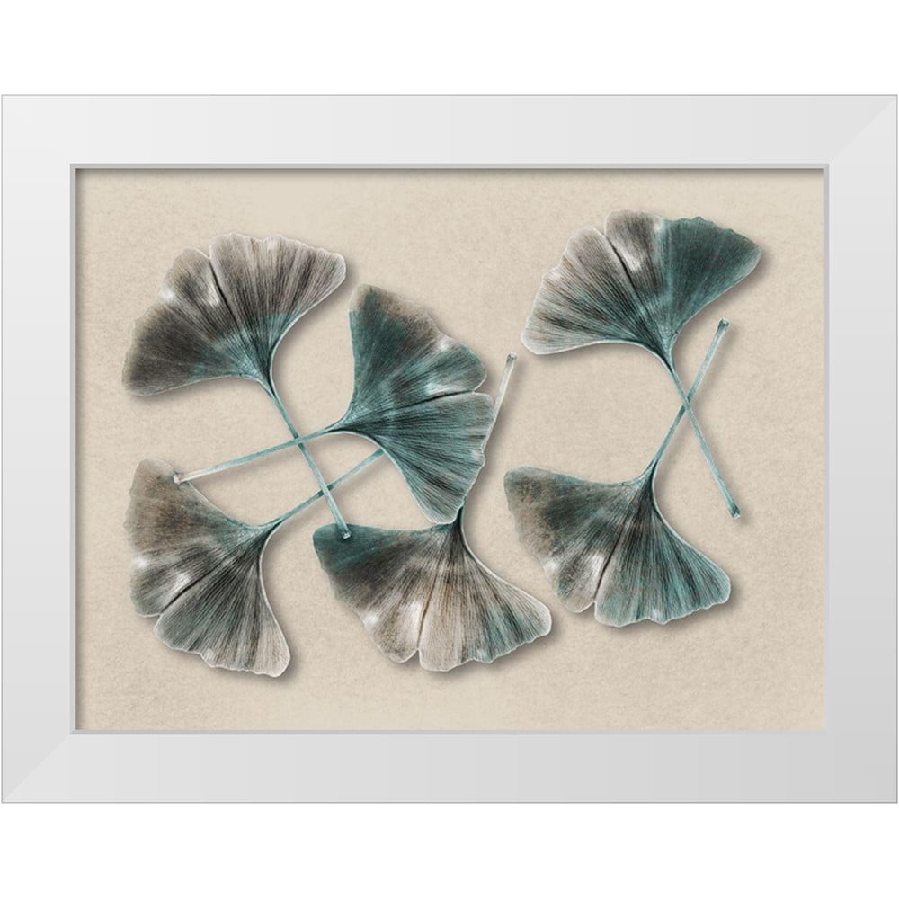 Prime, Marcus 14x12 White Modern Wood Framed Museum Art Print Titled - Aged Brass Ginkos 2 ...