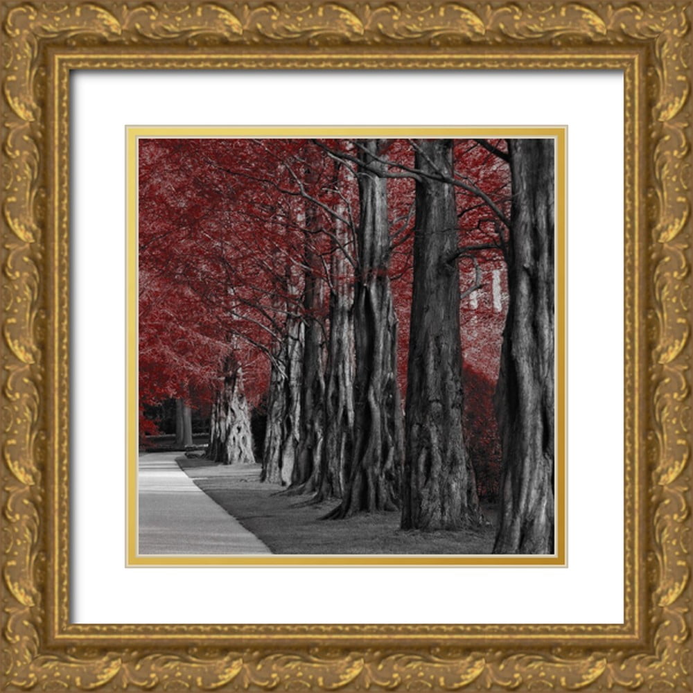 Prime, Marcus 15x15 Gold Ornate Wood Framed with Double Matting Museum ...