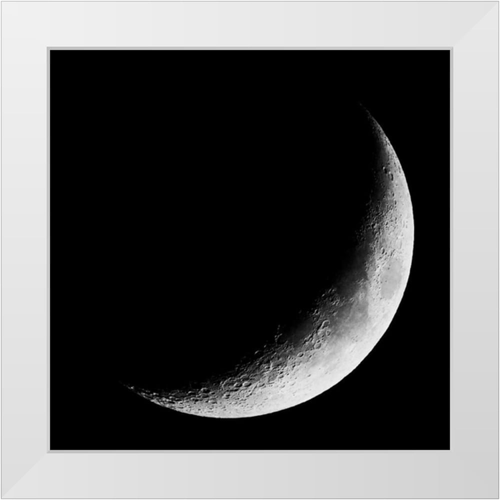 Prime, Marcus 15x15 White Modern Wood Framed Museum Art Print Titled ...