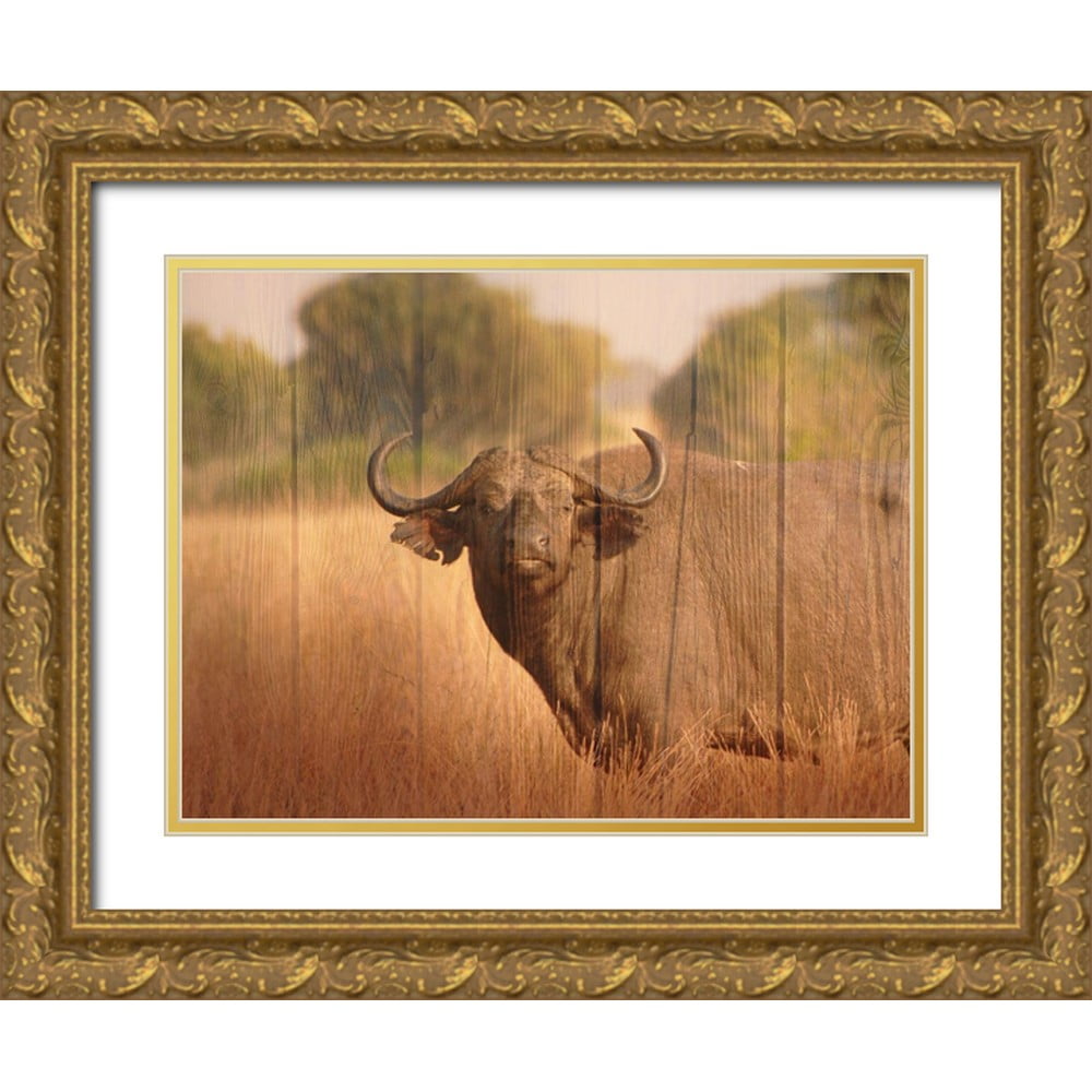Prime, Marcus 18x15 Gold Ornate Wood Framed with Double Matting Museum ...